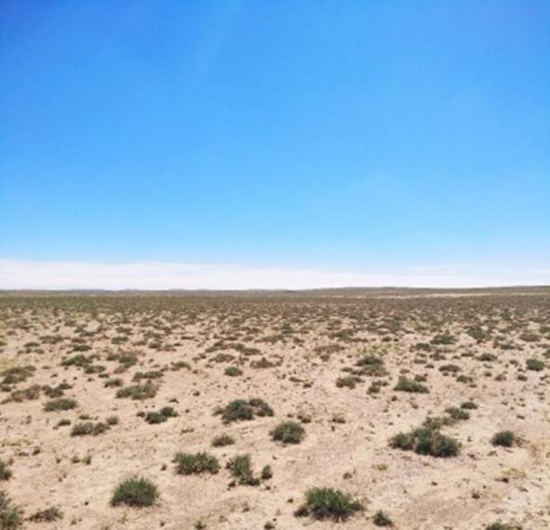 New research paper published in Nature Sustainability co-authored by ...