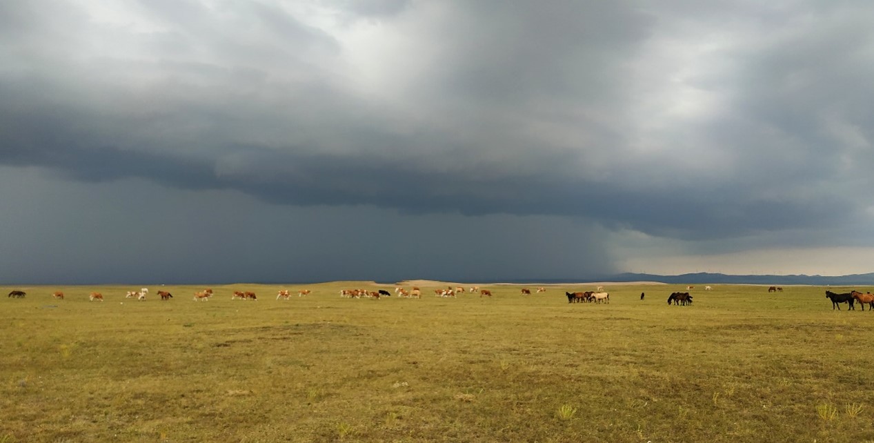 New research paper published in Nature Sustainability co-authored by ...