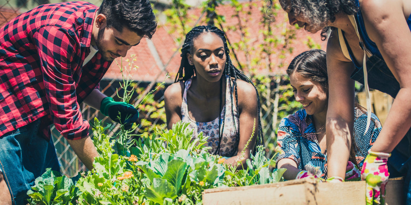 Embedding environmental quality into Nature-Based Interventions for ...