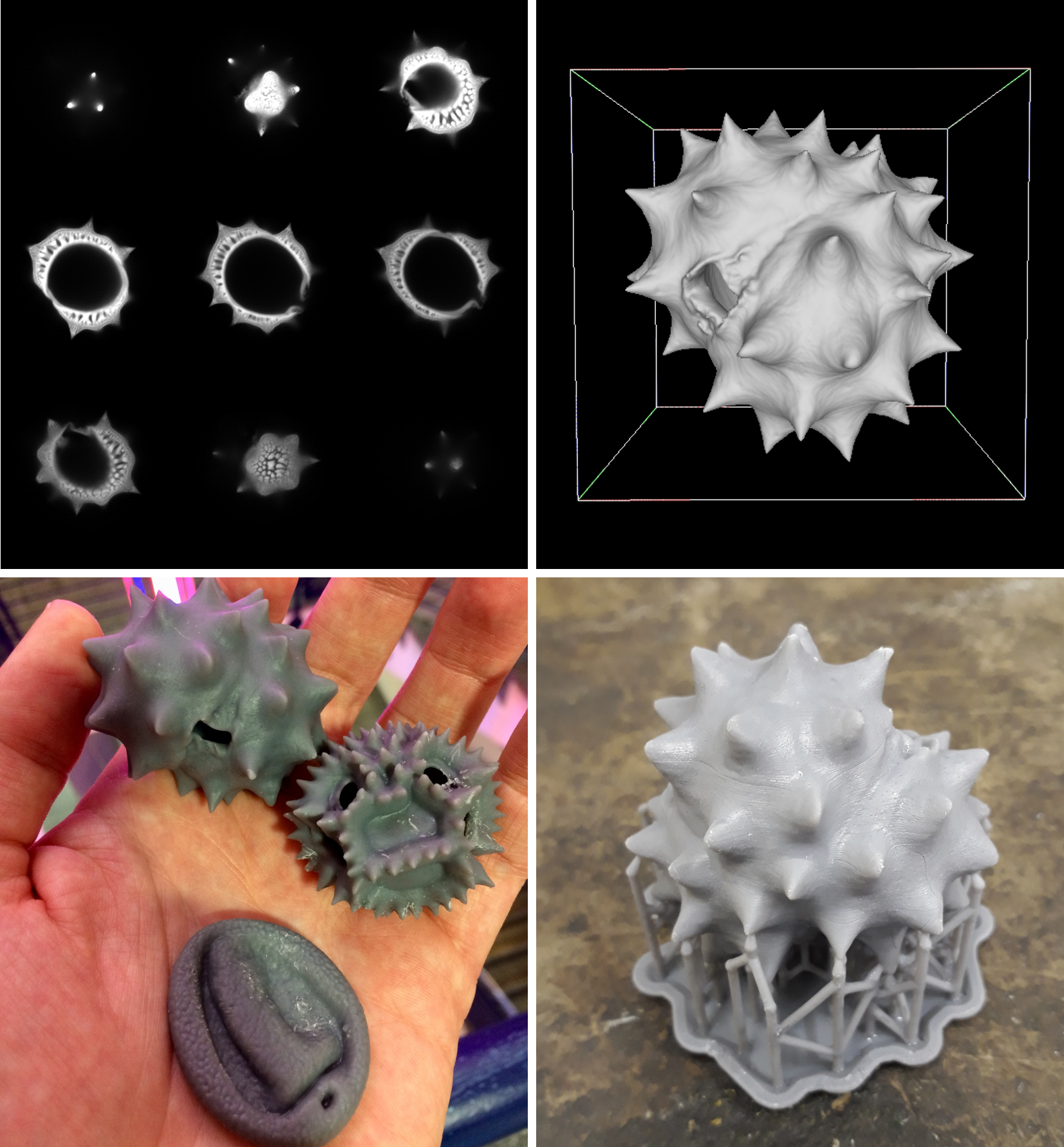 The 3D Pollen Project - York Environmental Sustainability Institute ...