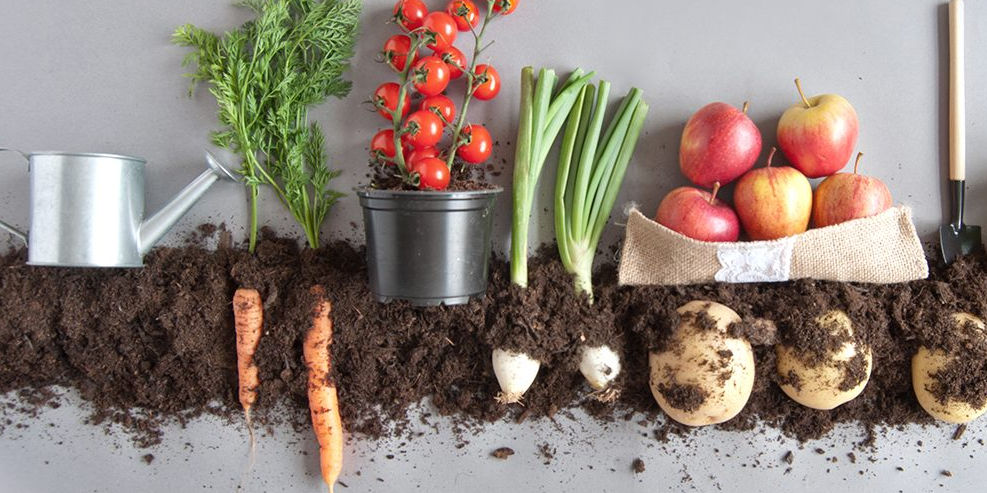 Food, Water & Waste - York Environmental Sustainability Institute ...